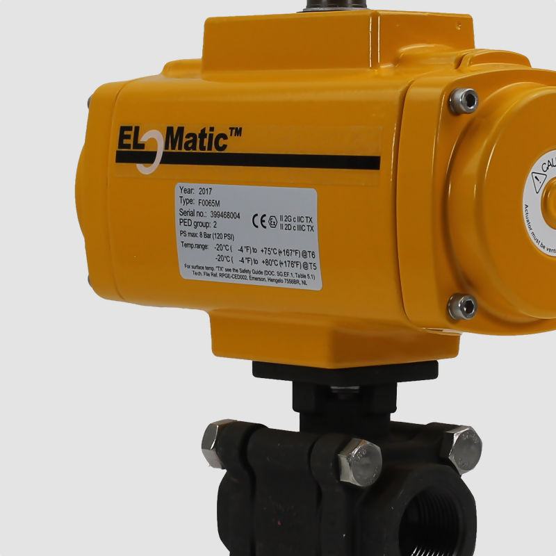 Elomatic Actuator Actuated Valves