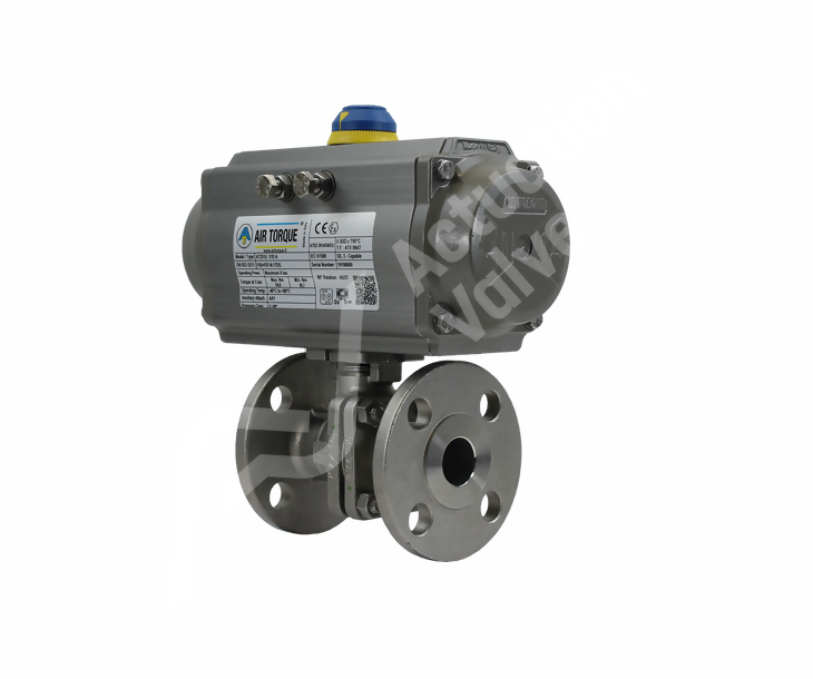 Stainless Steel ANSI 150 AV-L6100AT