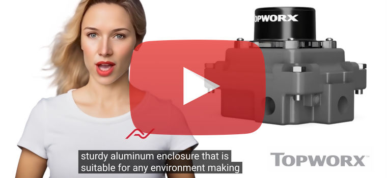 TXP Topworx Switchbox